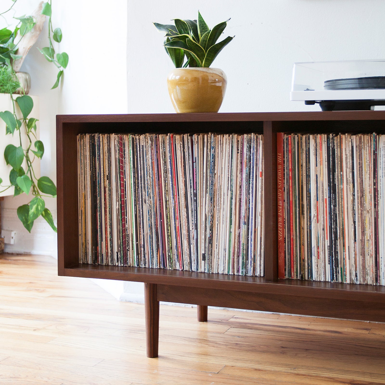 Stylish 1 x 2 Record Storage Cabinet for LP Collections | Department Home