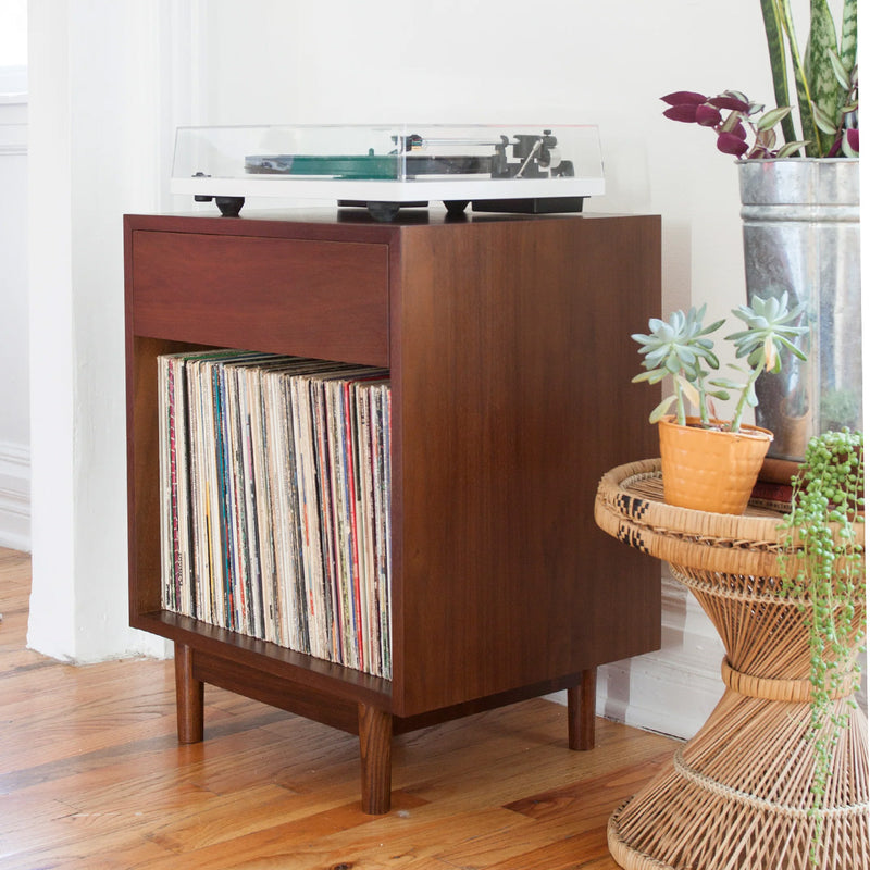 Department Home | Handmade LP Storage Cabinets