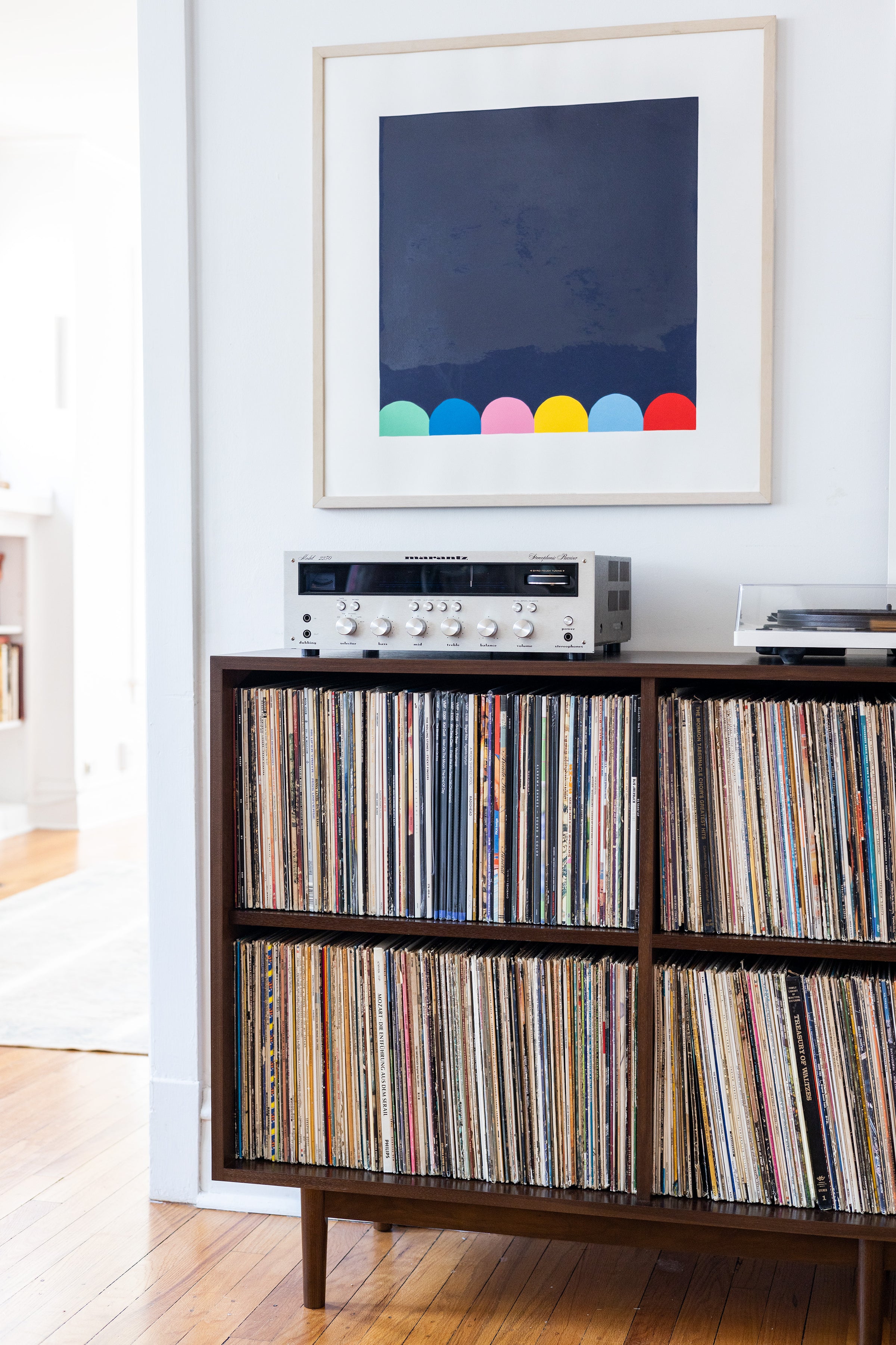 2 x 3 Record Storage Cabinet - Large Capacity Vinyl Storage ...